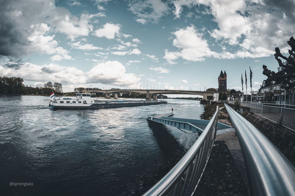 Fotografie: 139/365 Rheinkähne am Rheinufer (Worms)